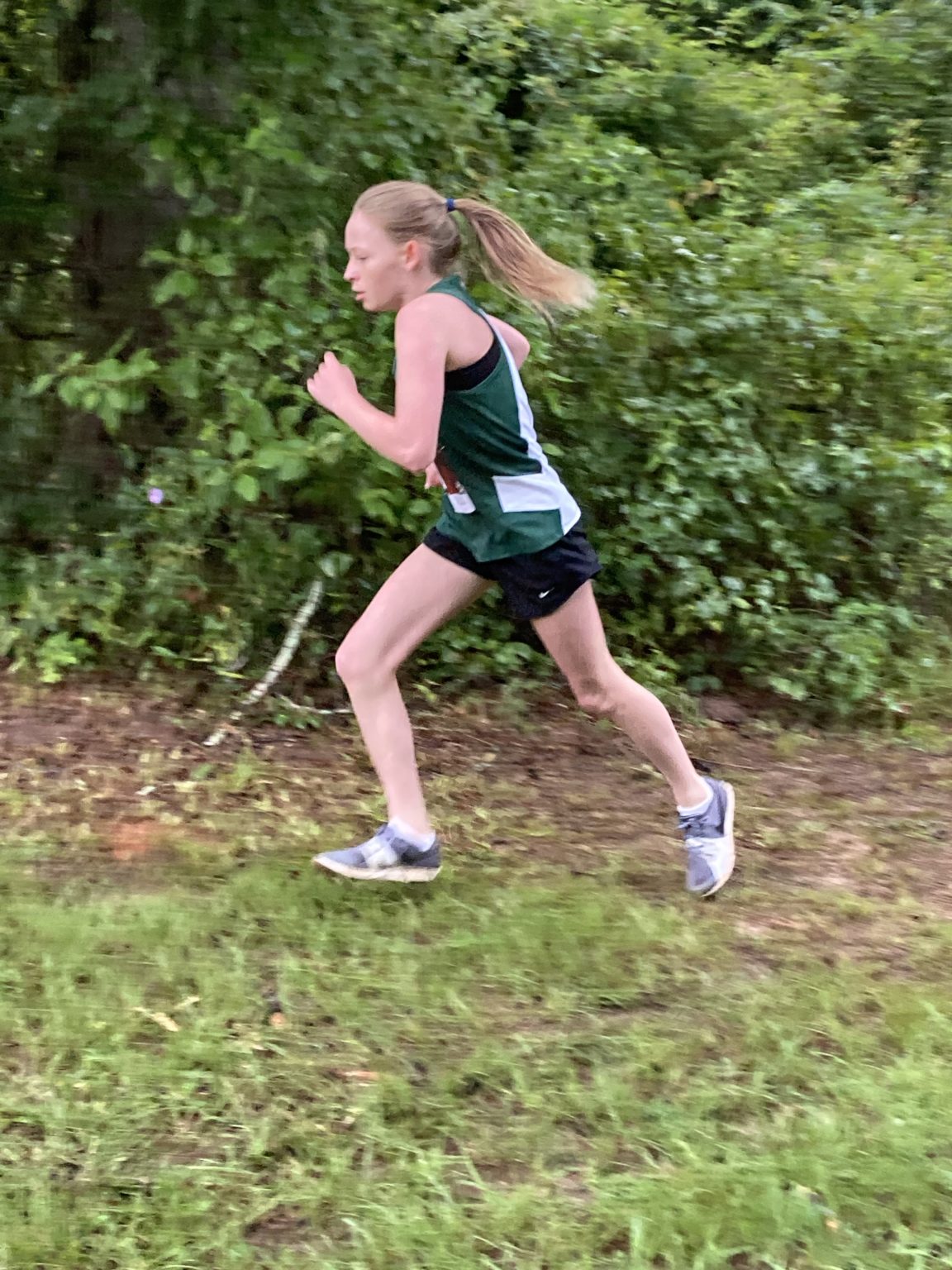 Cross Country – Central Georgia Arts and Athletics